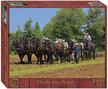 Amish Country Puzzles